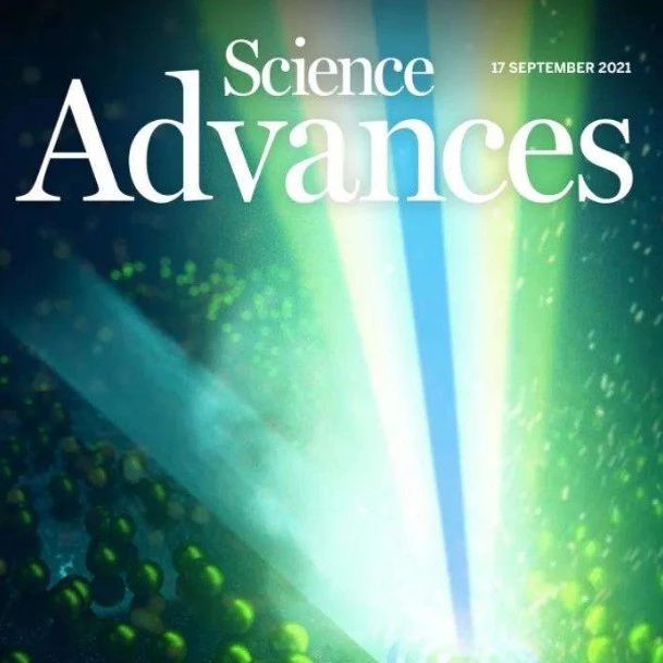 机器学习顶刊汇总：Sci. Adv.、AM、AFM、Adv. Sci.、npj Comput. Mater.、JMCA等成果 | 微算云平台