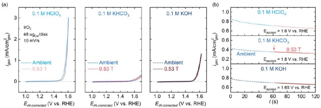 突破思维中的“墙”！看磁场如何影响HER或OER | 微算云平台