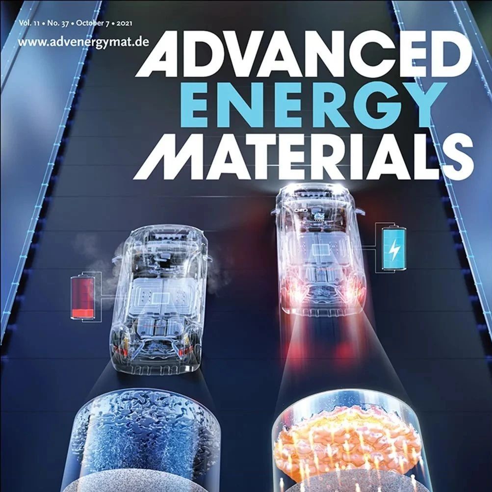 青科大王磊/赖建平AEM：吡咯氮和吡啶氮与Pt协同作用实现高性能碱性HER | 微算云平台