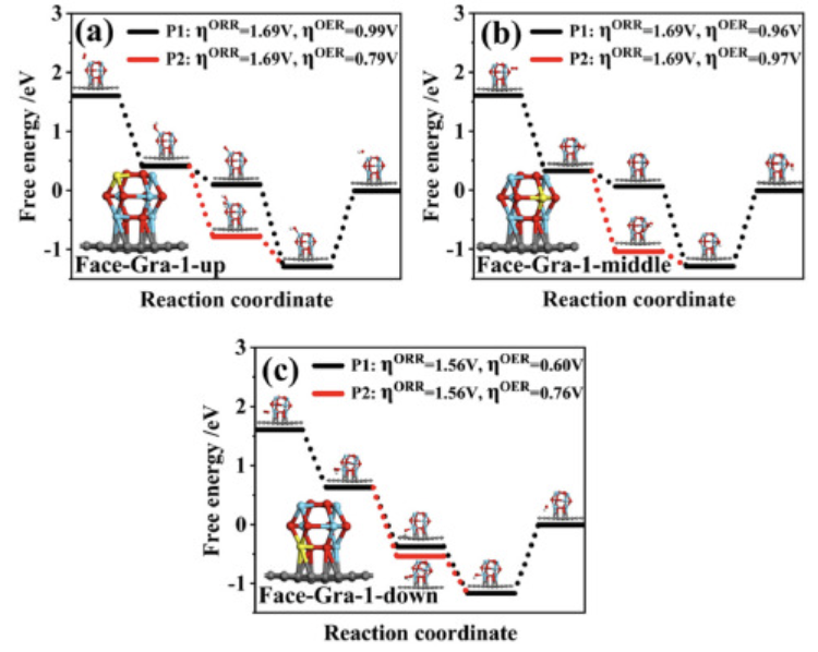【深度解读】Molecular Catalysis：DFT计算吸附与自由能，探索最佳催化活性位点！ | 微算云平台