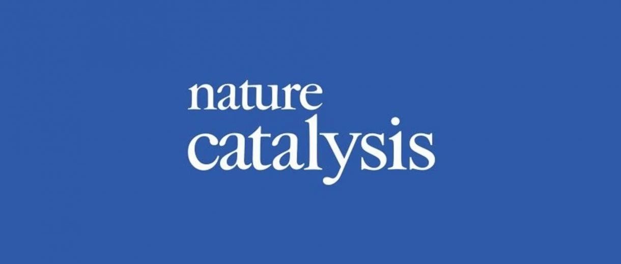 Nature Catalysis 综述：光催化CO2还原的实验设计与结果报告实践指南！ | 微算云平台